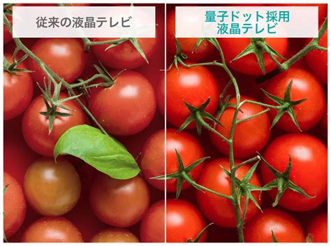 U85H | ハイセンスジャパン株式会社