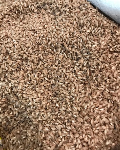 Узбекские Специи (@uzbekspices) • Instagram photos and videos