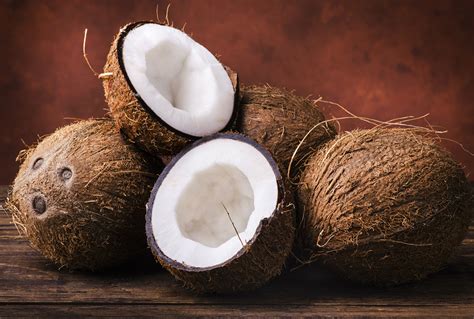 ORGANIC COCONUT PROJECT – Thabico Group