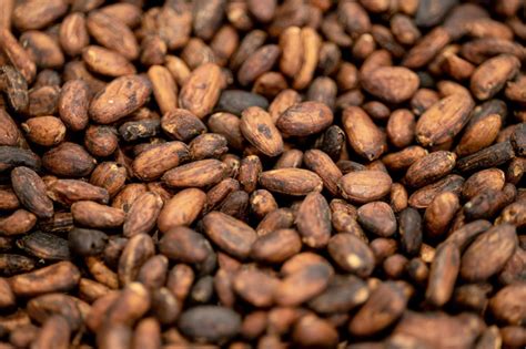 Hershey progresses on sustainability goals | Bake Magazine
