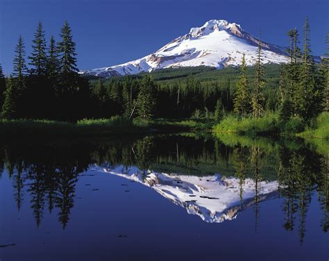 Tourisme : 5 activités originales à découvrir dans l’Oregon - Viza