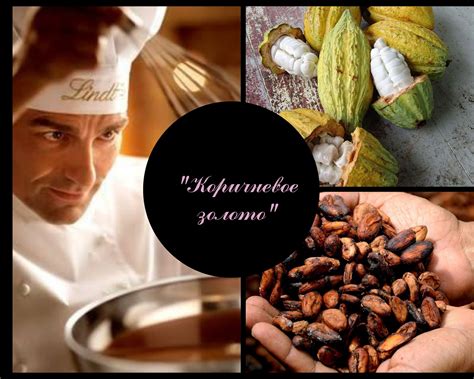 Из чего делают какао, состав, производство, откуда получают