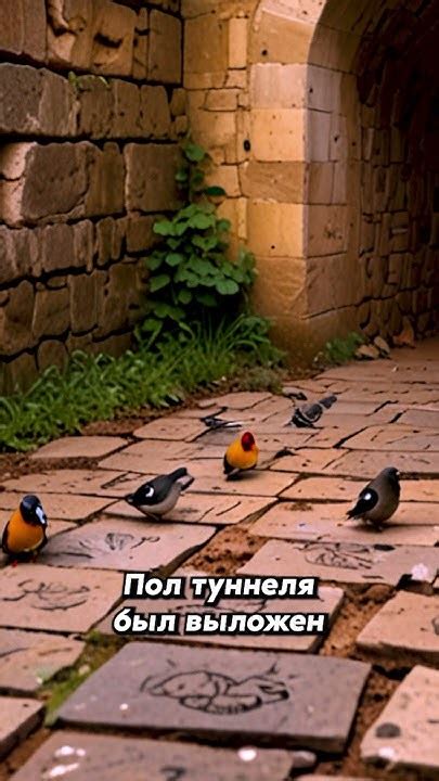 Нашли тайный проход под Землей! #археология #история - YouTube