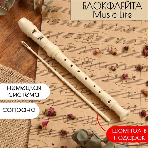 Блокфлейта, 8 отверстий, немецкая система, сопрано - купить с доставкой ...