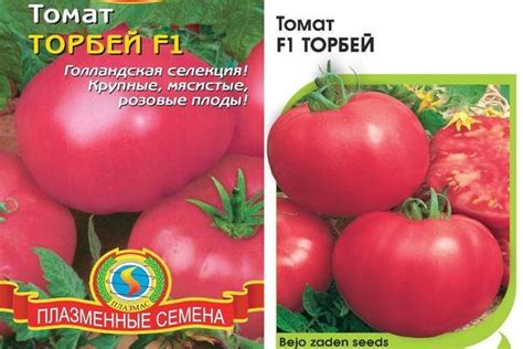 Томат Торбей: характеристика и описание гибридного сорта, отзывы с фото