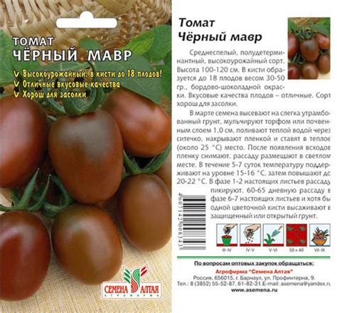 Черные помидоры: описание и характеристика лучших сортов, уход и ...