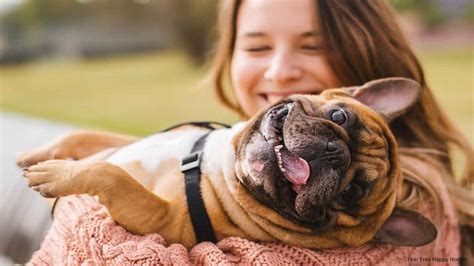 Bet on a Pet for Good Health