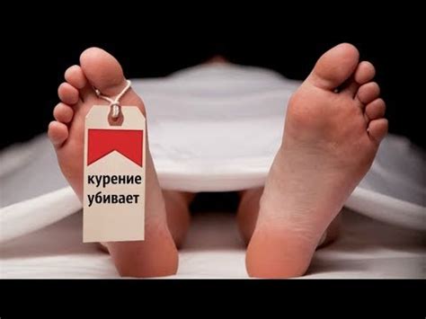 курение убивает - вред курения - YouTube