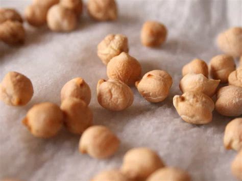 Как вырастить нут (турецкий горох) на даче — Fertilizer Daily