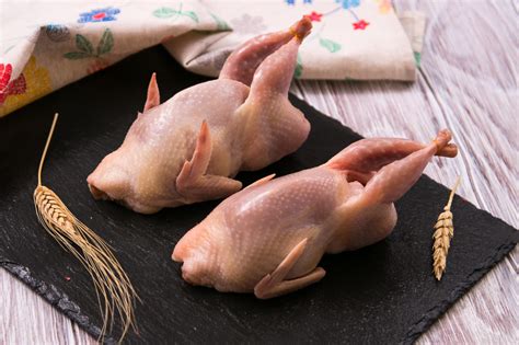 Мясо птицы (утка, гусь, индейка, курица, перепелка)