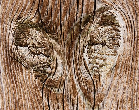 Wooden Dreams on Behance