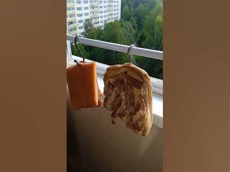 копчёное сало и сыр холодного копчения#коптильня #сыр #сало - YouTube