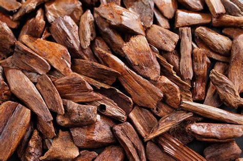 What is an Oud Scent - Grooming Wise