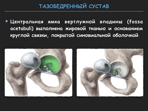 Визуализация тазобедренного сустава