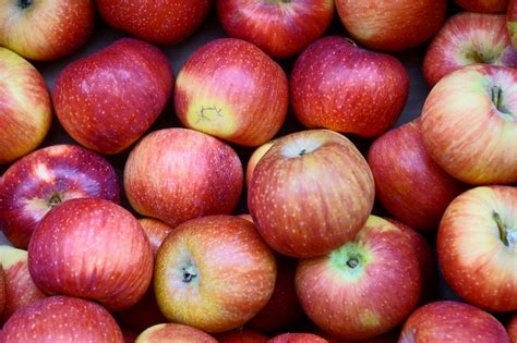 Fruites Photos, Download The BEST Free Fruites Stock Photos & HD Images