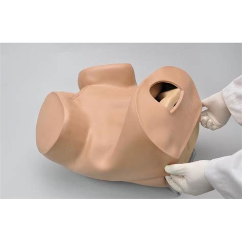 Advanced Patient Care Male Prostate Simulator – GTSimulators.com