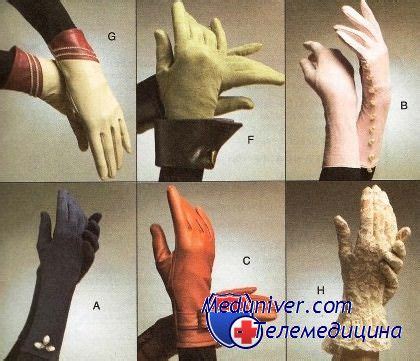 Перчатки - аксессуар, придающий женщине элегантность? Выбираем женские ...
