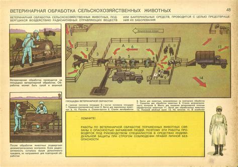 Гражданская оборона в картинках | STENA.ee