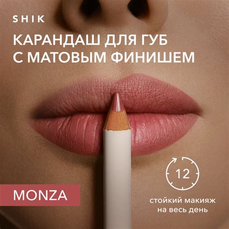 SHIK STUDIO Карандаш для губ стойкий матовый, оттенок MONZA благородный ...