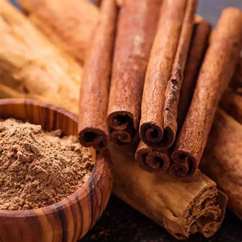 Cinnamon – Bolbel