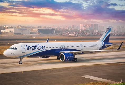 IndiGo shares are up 12 days in a row, the longest gaining streak for ...