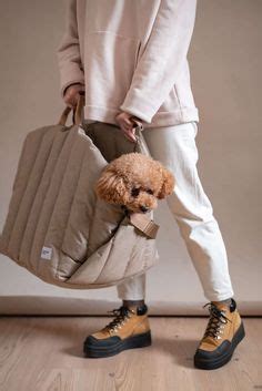 Автокресло-Пони бежевое | Dog clothes, Cute dog clothes, Dog clothes ...
