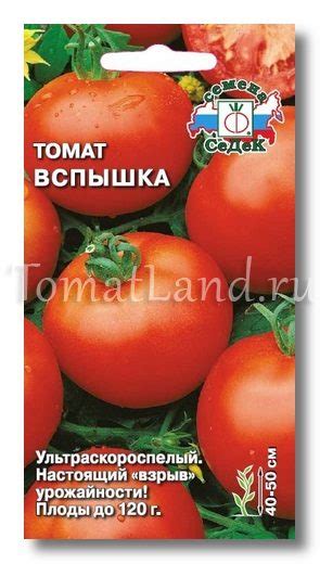 Томат Вспышка: описание, ОТЗЫВЫ (17), фото, урожайность | tomatland.ru