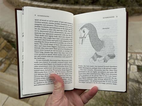 Dinopedia: A Brief Compendium of Dinosaur Lore – Dino Dad Reviews
