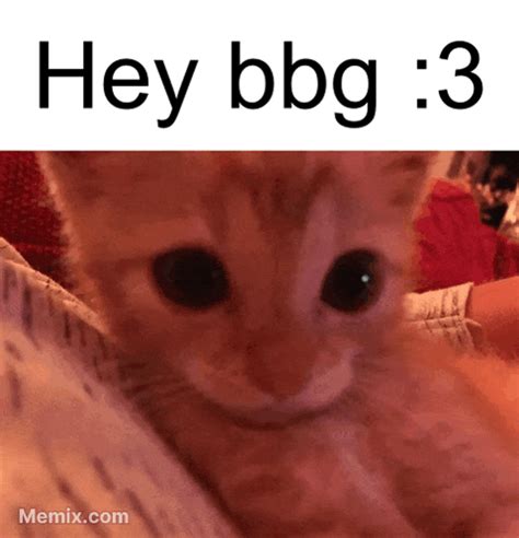 Hey Bbg Bbg Cag Meme - Hey bbg Bbg Bbg cag - Discover & Share GIFs