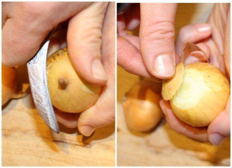 Выращивание лука на перо как бизнес: советы фермера