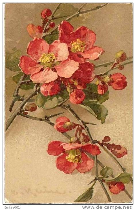 Flower art, Floral painting, Flower painting