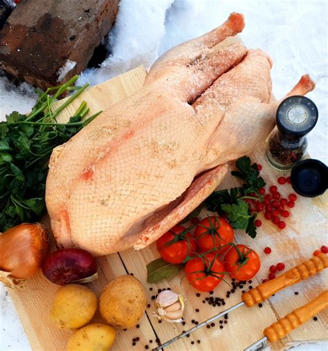 Гусь домашний (охл/зам) – Фермерское мясо и полуфабрикаты