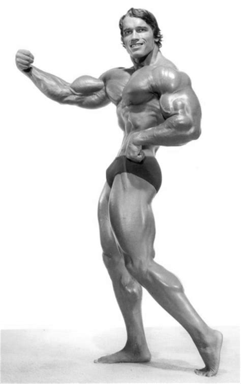 Арнольд Шварценеггер (Arnold Schwarzenegger), фотографии, биография ...