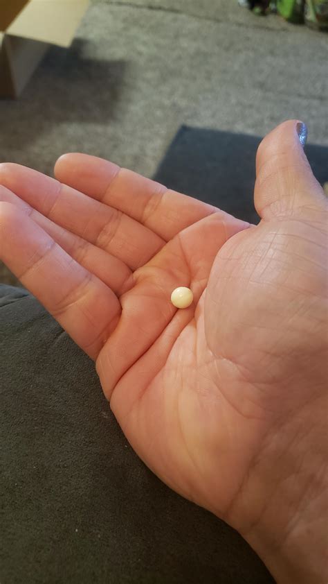 Started my progesterone today. : r/trans