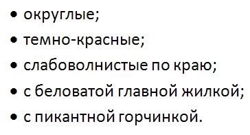 Салат Цикорный Пала Росса: отзывы, выращивание, фото, описание и ...
