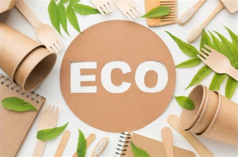 Green by Nature: Eco-Conscious Vegan Essentials with a Giving Spirit ...
