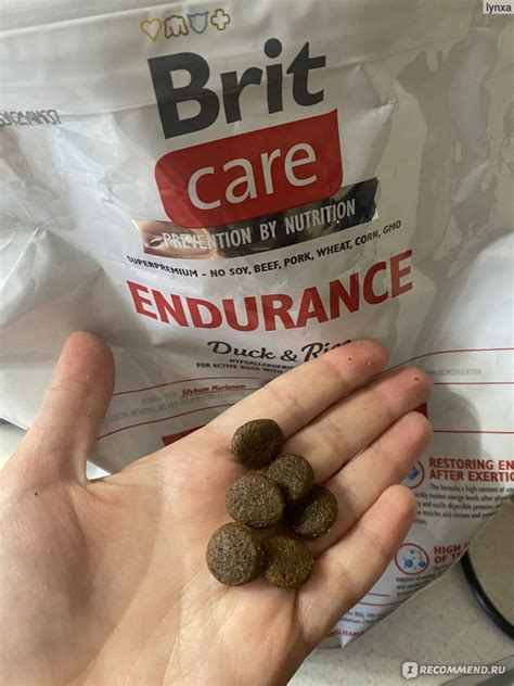 Корм для собак Brit Care Endurance Duck & Rice - «Лучший бюджетный корм ...