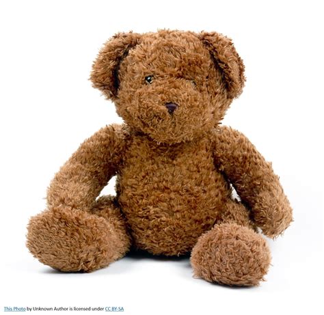 Cool Kids Teddy Bear Competition | Bite Dentistry Edinburgh