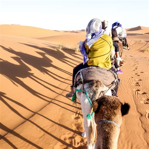 Viktorija Travel