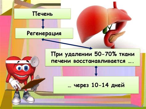 Пищеварение в желудке и двенадцатиперстной кишке - online presentation