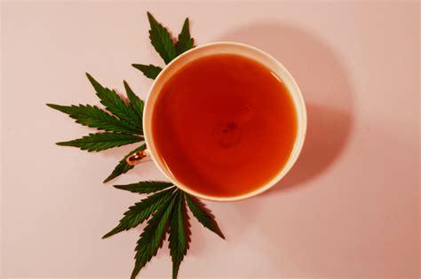 What Is CBD Tea and What Are Its Benefits? - CBD Oracle
