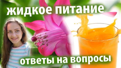 Жидкое питание Ответы на вопросы, переход - YouTube