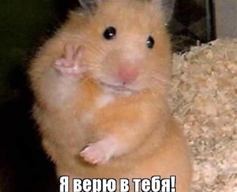 Я в тебя верю - красивые картинки (32 фото) • Прикольные картинки и позитив
