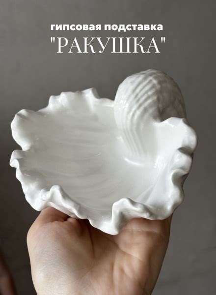 Гипсовая подставка Ракушка, белый - купить по выгодной цене в интернет ...