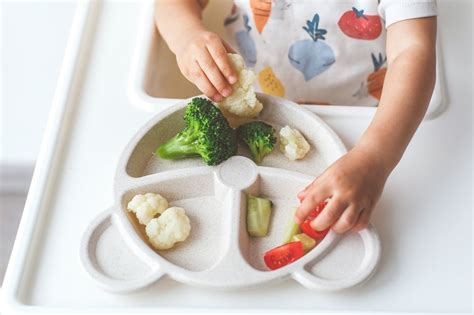 How to Create a Sensory-Friendly Eating Environment | New Jersey | Milk & Milestones Therapy