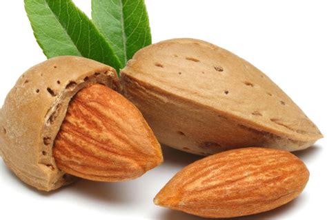 COLD PRESSED SWEET ALMOND OIL AS A VALUABLE INGREDIENT FOR YOUR PRODUCT ...