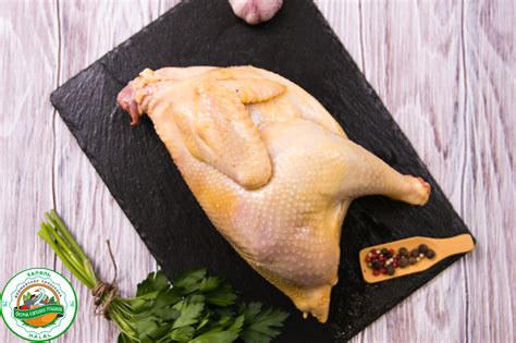 Халяль мясо птицы (утка, гусь, индейка, курица)