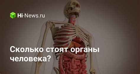 Сколько стоят органы человека? - Hi-News.ru