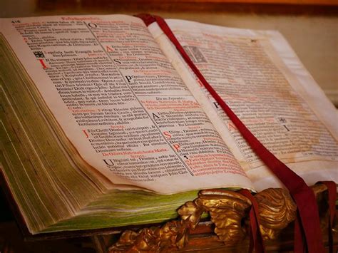 Quali sono i libri profetici - Lettera43