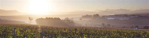 Shop for Wines from South Africa's Swartland Winery Online at Hic!